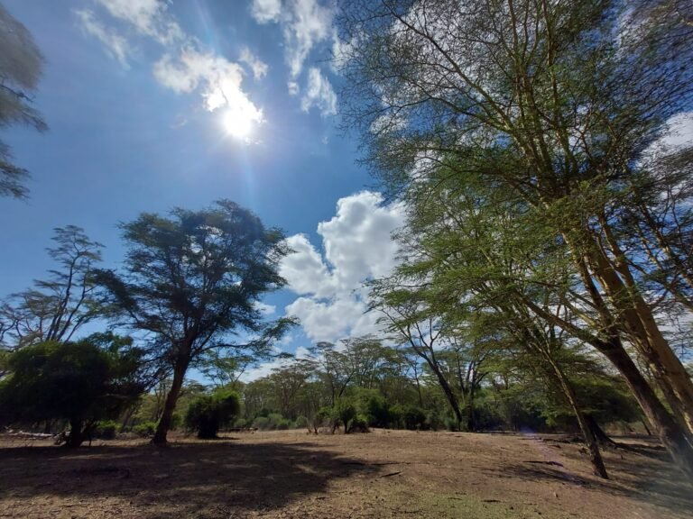 Mount Hanang – Hanang District, Manyara Region News and Development